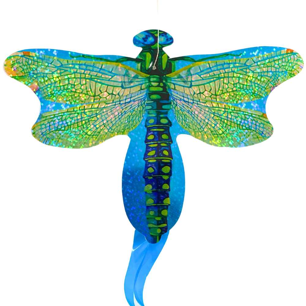 Mini Kite Real Flying Insect - Dragon Fly – Bill's Store
