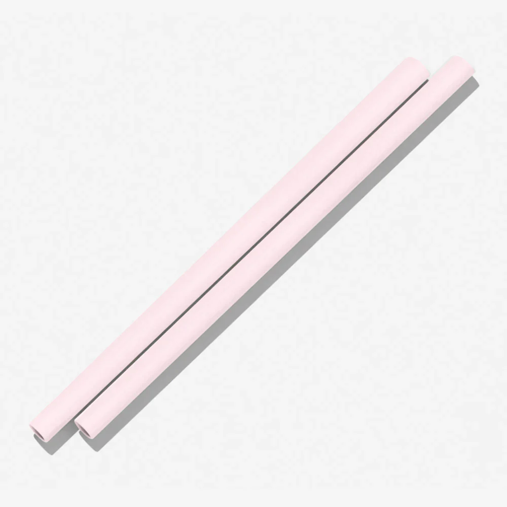 Silicone Straws 2 Pack Seashell – Bill's Store